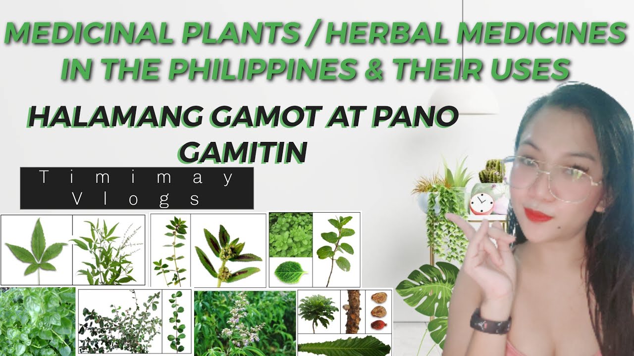 Medicinal Plants/Herbal Medicines in the Philippines and their Uses ...