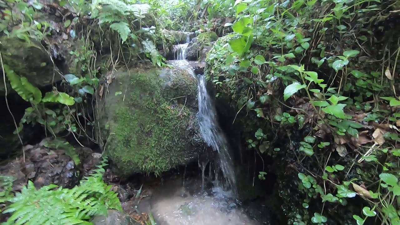The Dripping Well and waterfalls,Hastings Country Park - YouTube