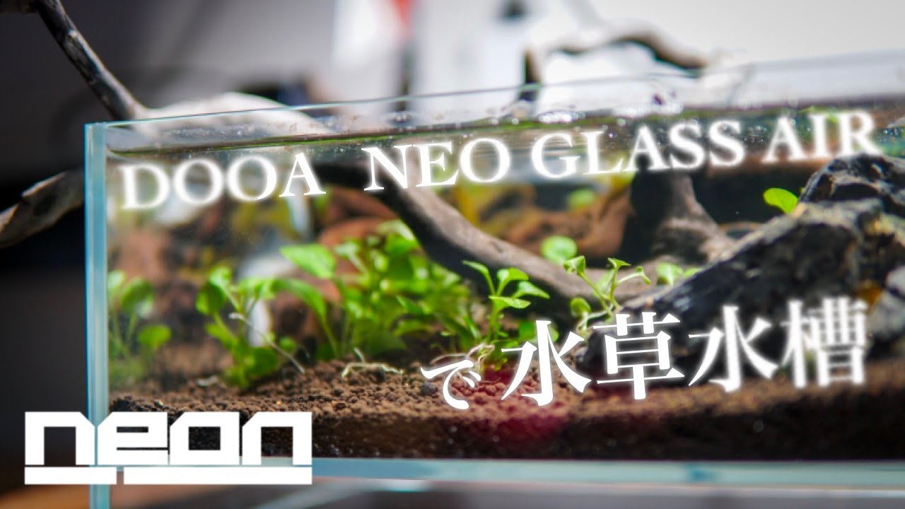 DOOA 】NEO GLASS AIRで水草レイアウト水槽を立ち上げ！【 ne0n 】 #アクアリウム - YouTube