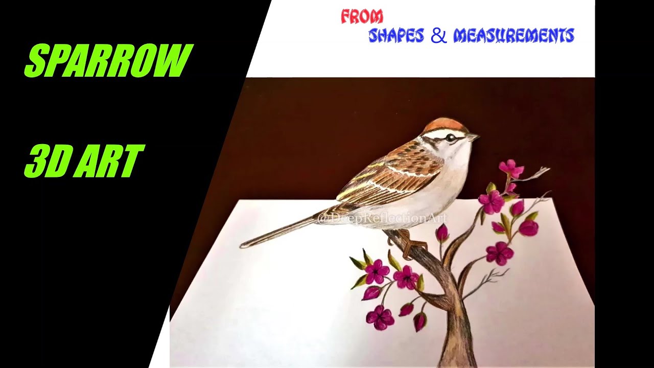 How to draw 3D SPARROW / BIRD /3D ART/ from SHAPES / REALISTIC BIRD ...