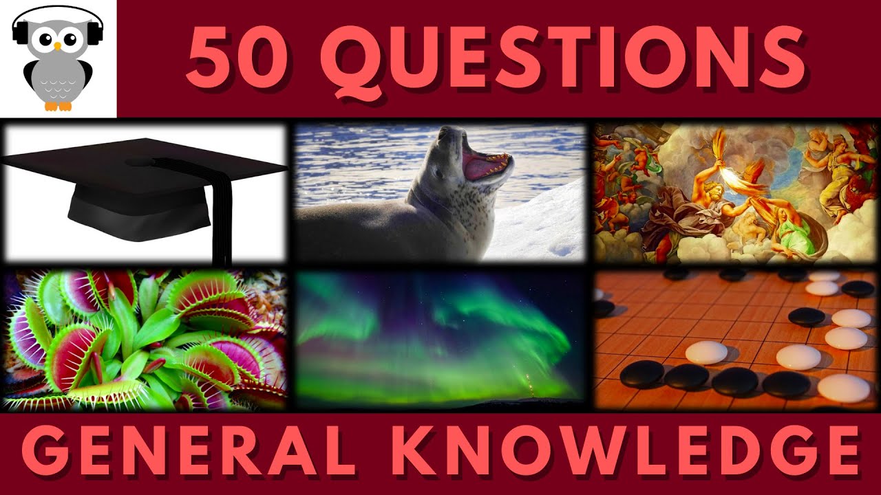 General Knowledge Quiz Trivia #66 | Alumni, Seal, Drink of Gods, Aurora ...