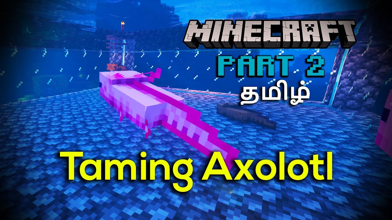 Taming Axolotl | Minecraft Tamil Part 3 - YouTube