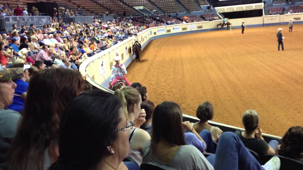 Fancy Dandy Chip, Western Pleasure at 2013 AQHA Youth World (For Sale ...