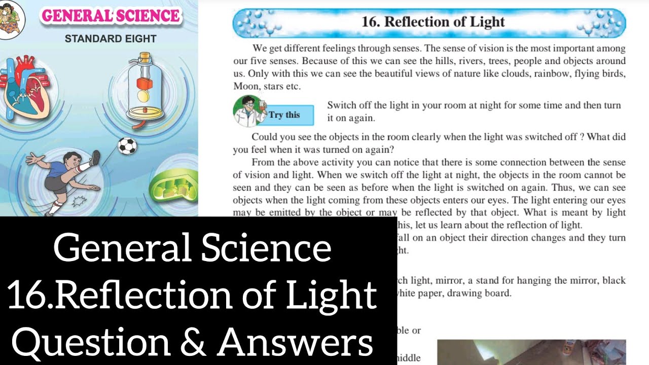 8th Science 16.Reflection of Light Question and Answers - YouTube