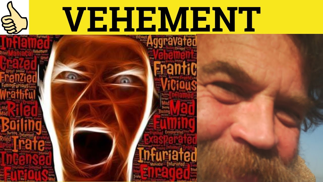  Vehement Vehemence Vehement Meaning Vehemence Examples