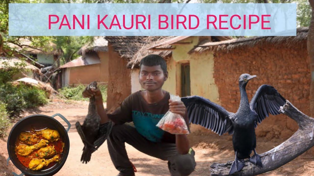 cormorant bird 🐦 || recipe in desi style || pani kauri panchhi recipe ...