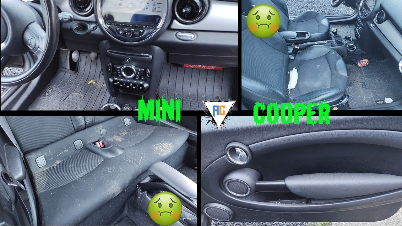 Mini Cooper MOLD Infested Deep Cleaning | Insane Transformation ...