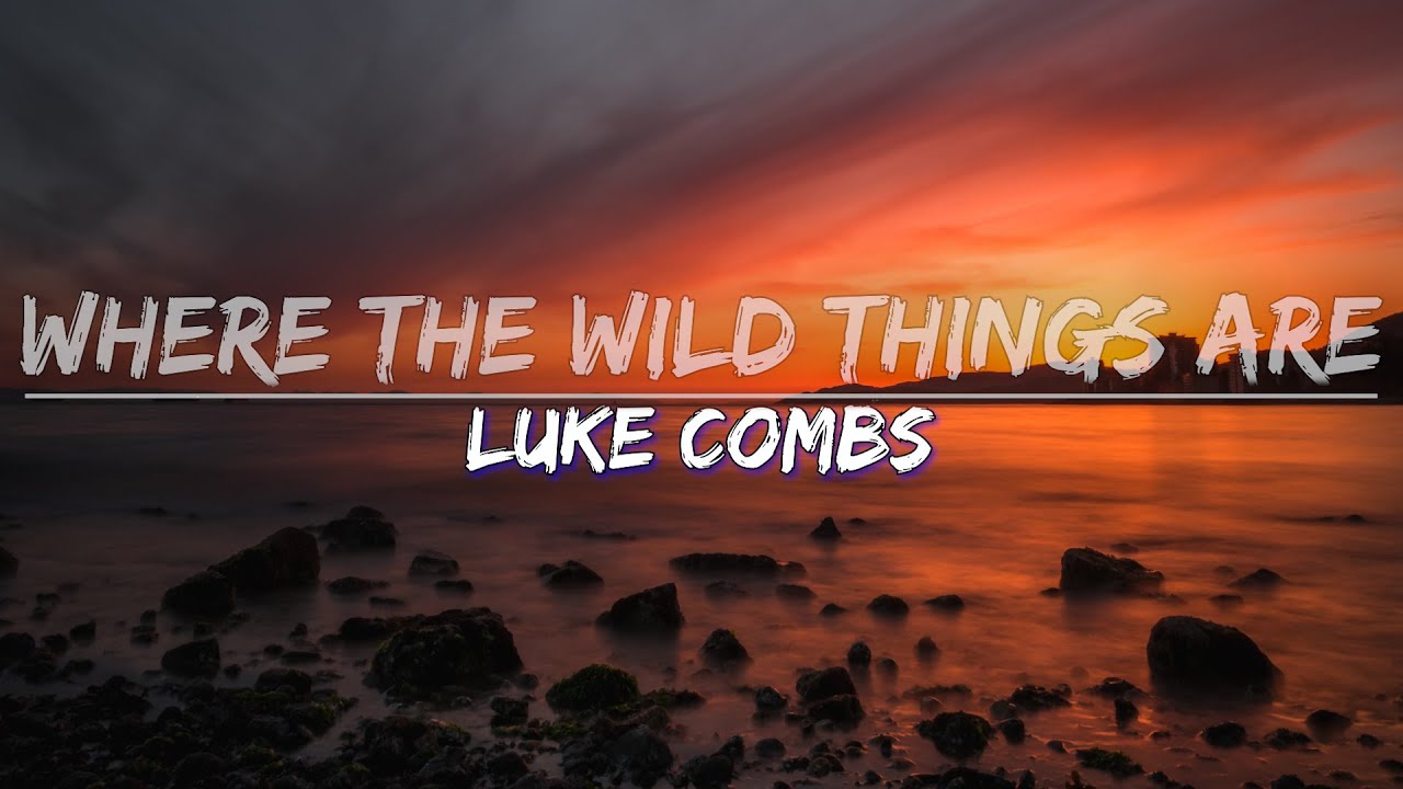 Luke Combs - Where The Wild Things Are (Lyrics) - Audio at 192khz - YouTube
