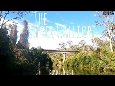 Fishing the Upper Calliope with Harley #fishing #gladstone #lure #qld # ...