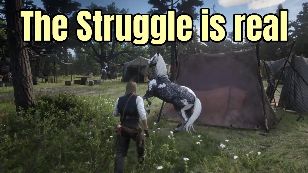 OMG! Missouri Fox Trotter Acquisition : Arcadia for Amateurs vs Face ...