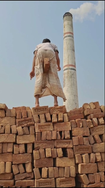 He has very good brick-catching skills. - YouTube