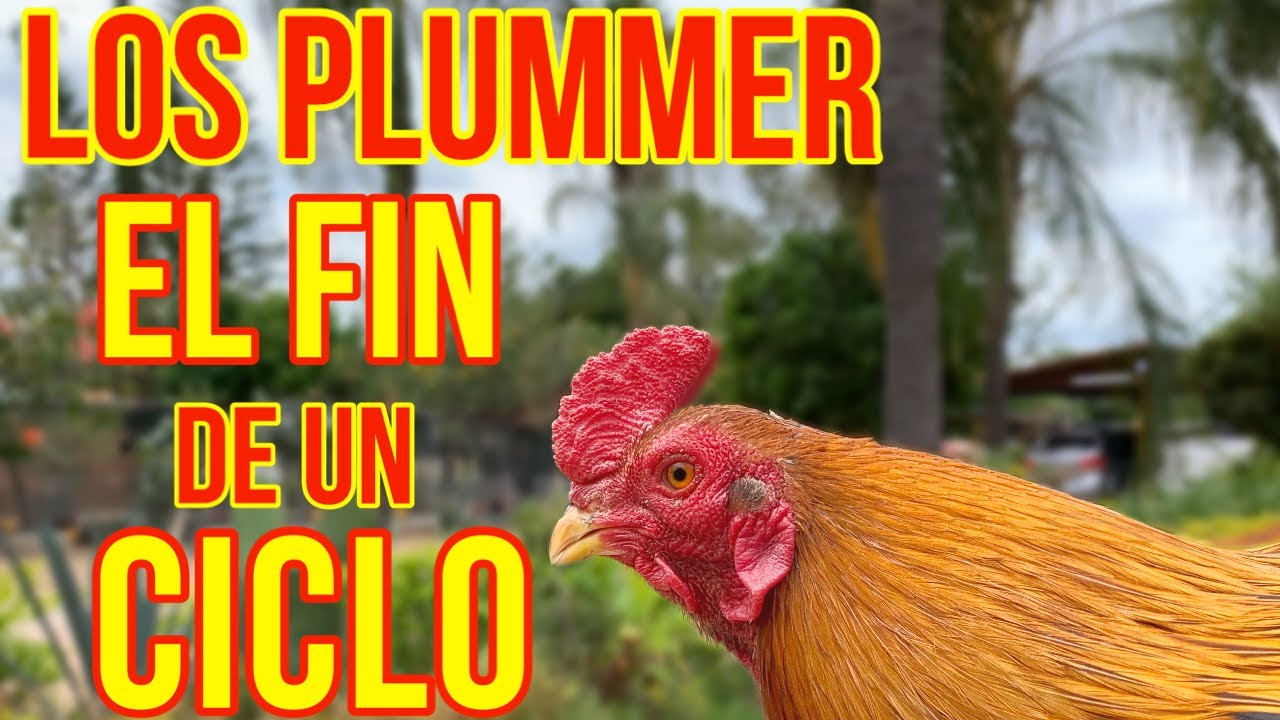 LOS PLUMMER.... EL FINAL DE UNA ERA??? - YouTube
