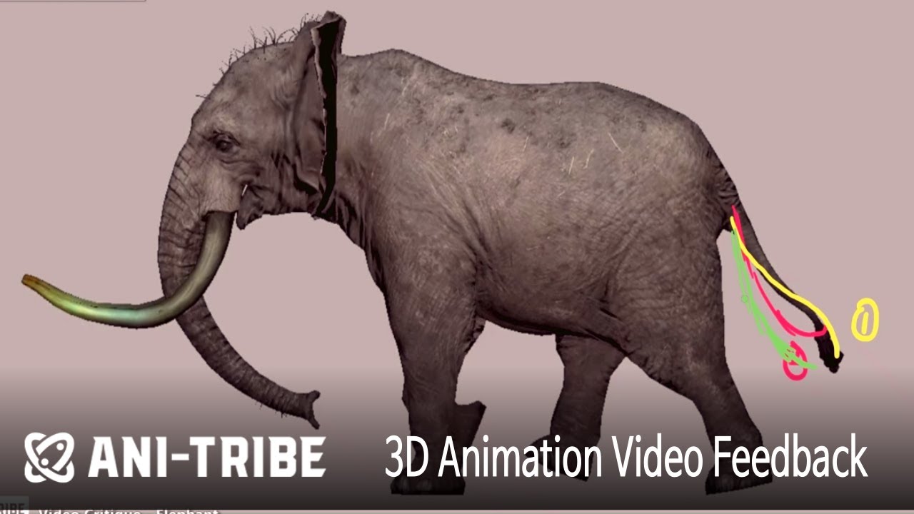 3D Animation Ani-Tribe Video Feedbackㅣ Animator ㅣ 3Danimation School ㅣ ...