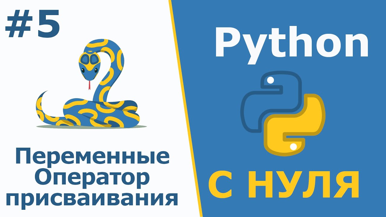 Переменные Оператор присваивания Python с Нуля Урок 5 Youtube
