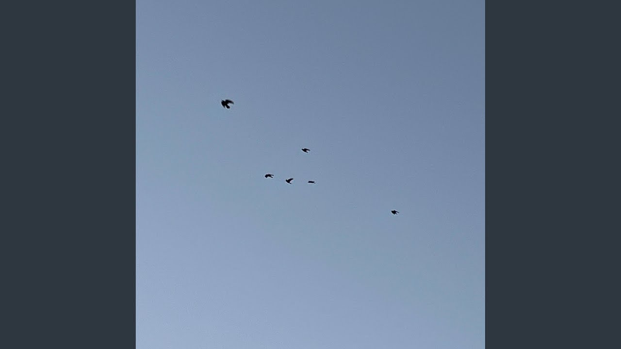 vortex queen castle theme - YouTube