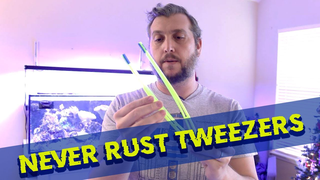 Vivid Creative Aquatics Never Rust Tweezers! - YouTube