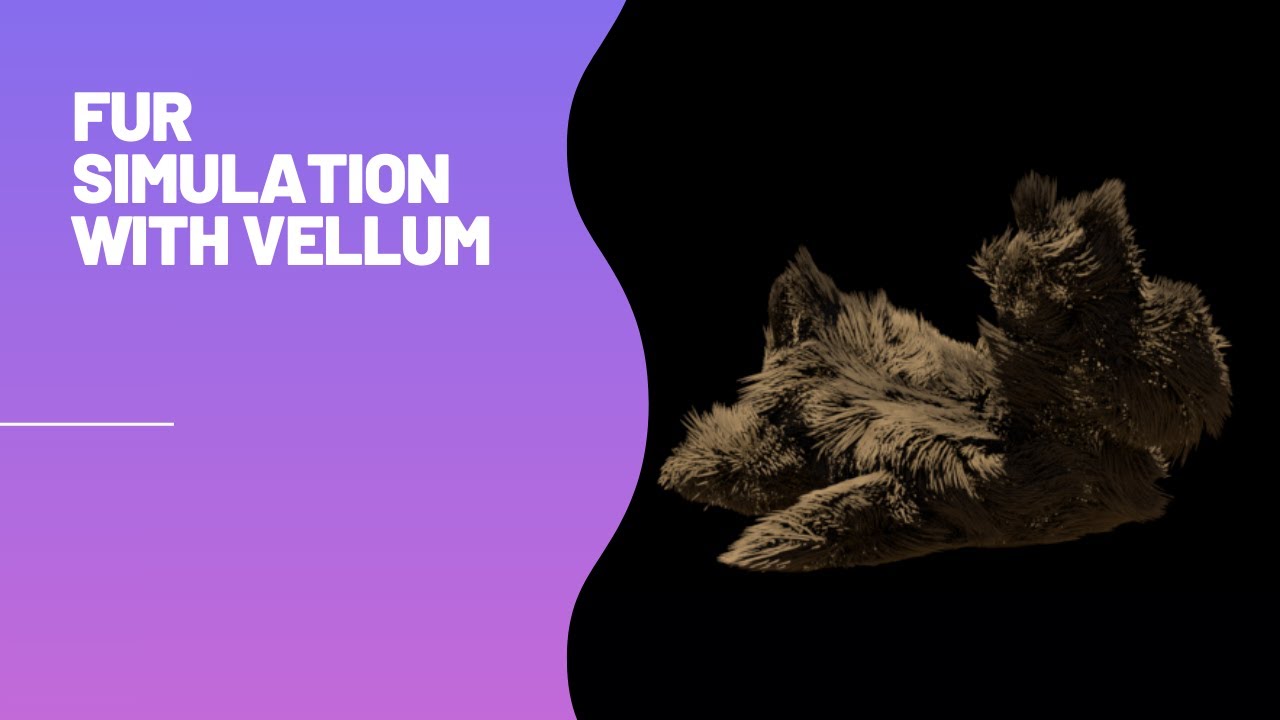Fur Simulation with Vellum - YouTube
