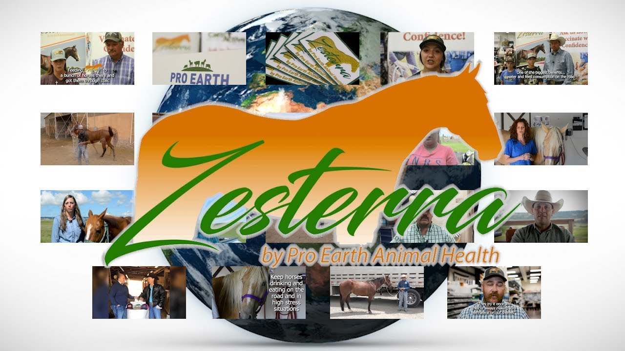 On the Fence with Zesterra? Maybe These 19 People Can Convince You ...