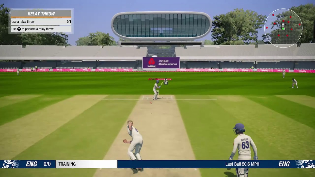 Cricket 19 on Nintendo Switch (Hand held) - bug compilation video - YouTube