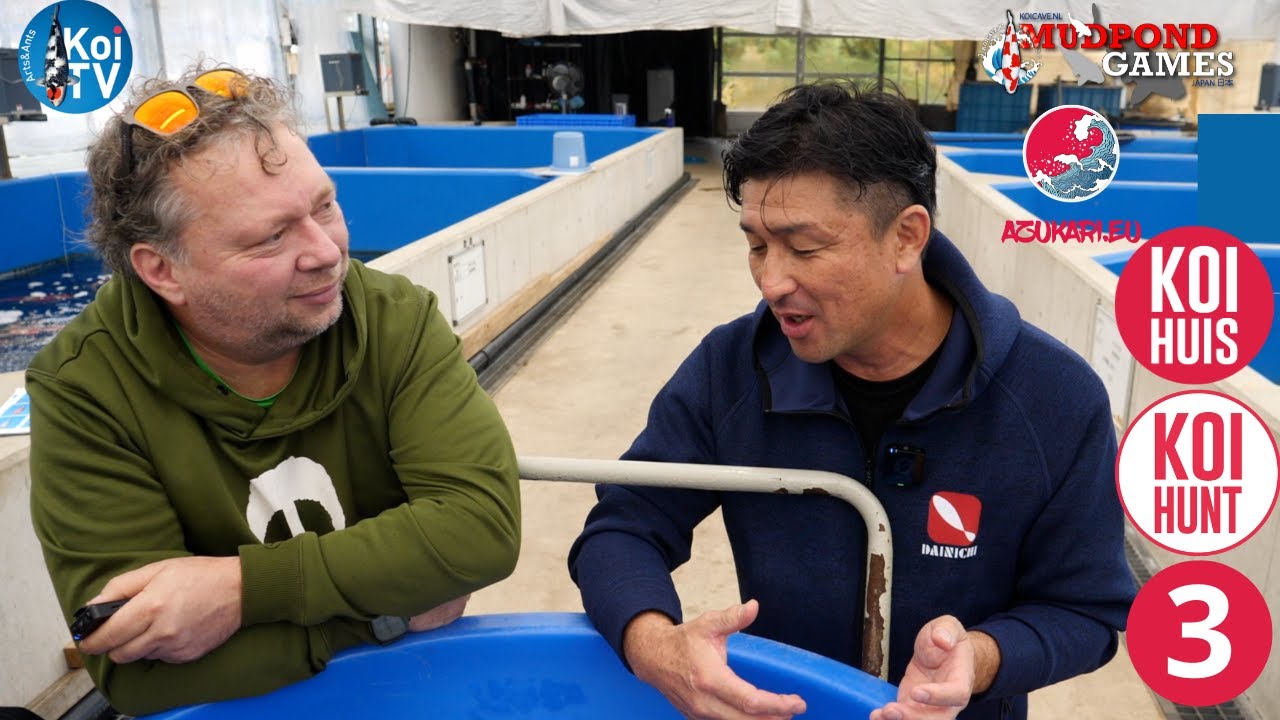 KoiHuis Koihunt december 2024 Deel 3 | Toyota Dainichi - YouTube