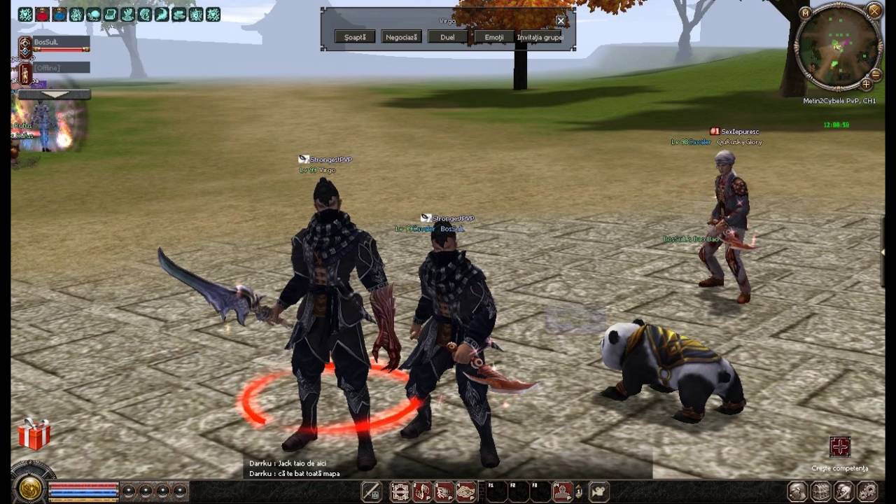 Poze . Metin2 Cybele !! - YouTube