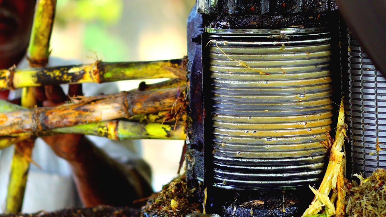 Natural Jaggery Production | Jaggery Making Without Chemicals | - YouTube