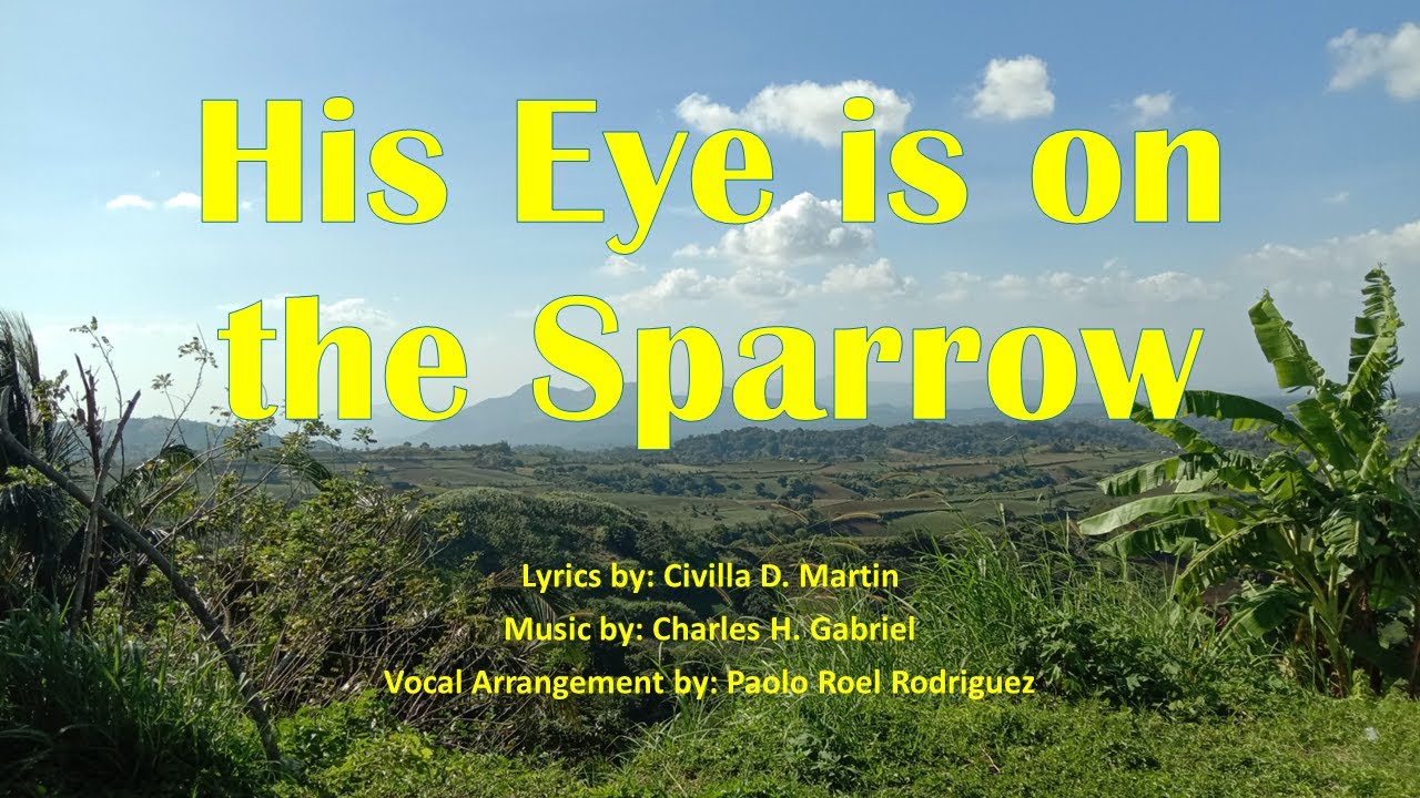 HIS EYE IS ON THE SPARROW | HYMN COVER | vocal arrangement by PAO ...