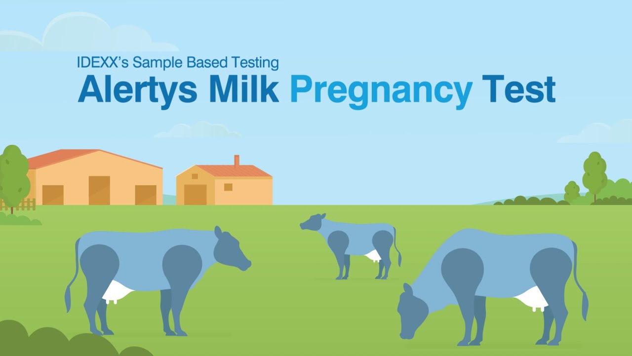 Alertys Milk Pregnancy Test ANZ - YouTube