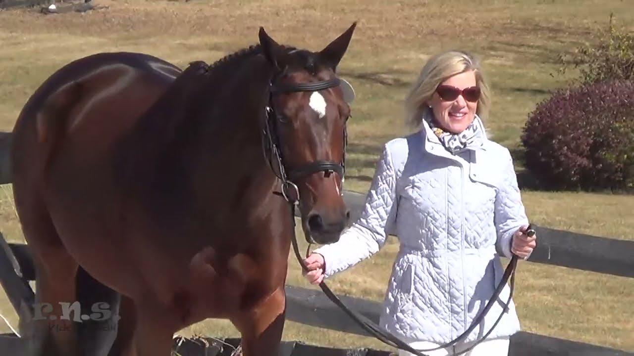 Leah Snowden & Ormolu Hagyard Team Challenge 2022 - YouTube