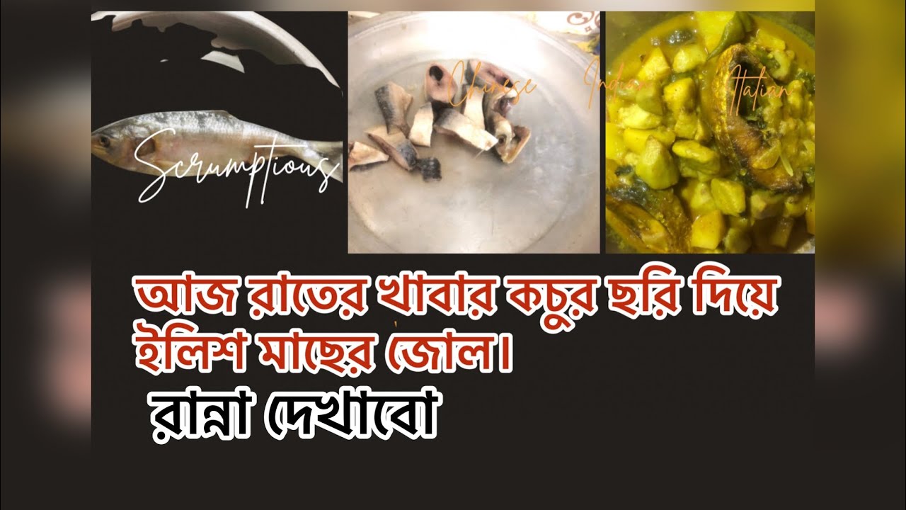 Kocur chori diye elish mach ranna/ কচুর ছরি দিয়ে ইলিশ মাছের জোন রান্না ...