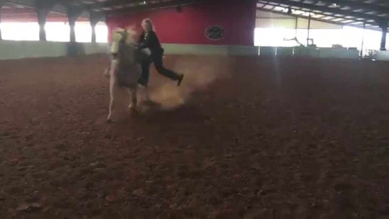 Trigger Goat Tying and Breakaway - YouTube