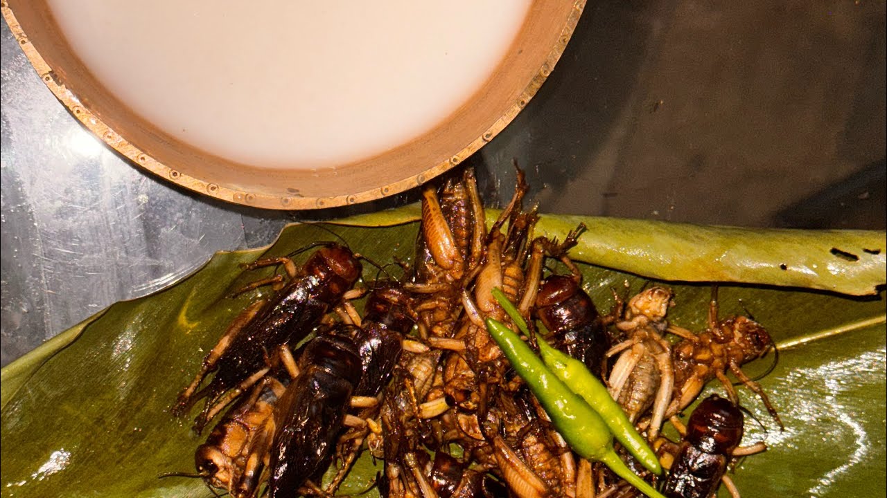 Patot dia mas 😊🤤#subscribetomychannel - YouTube