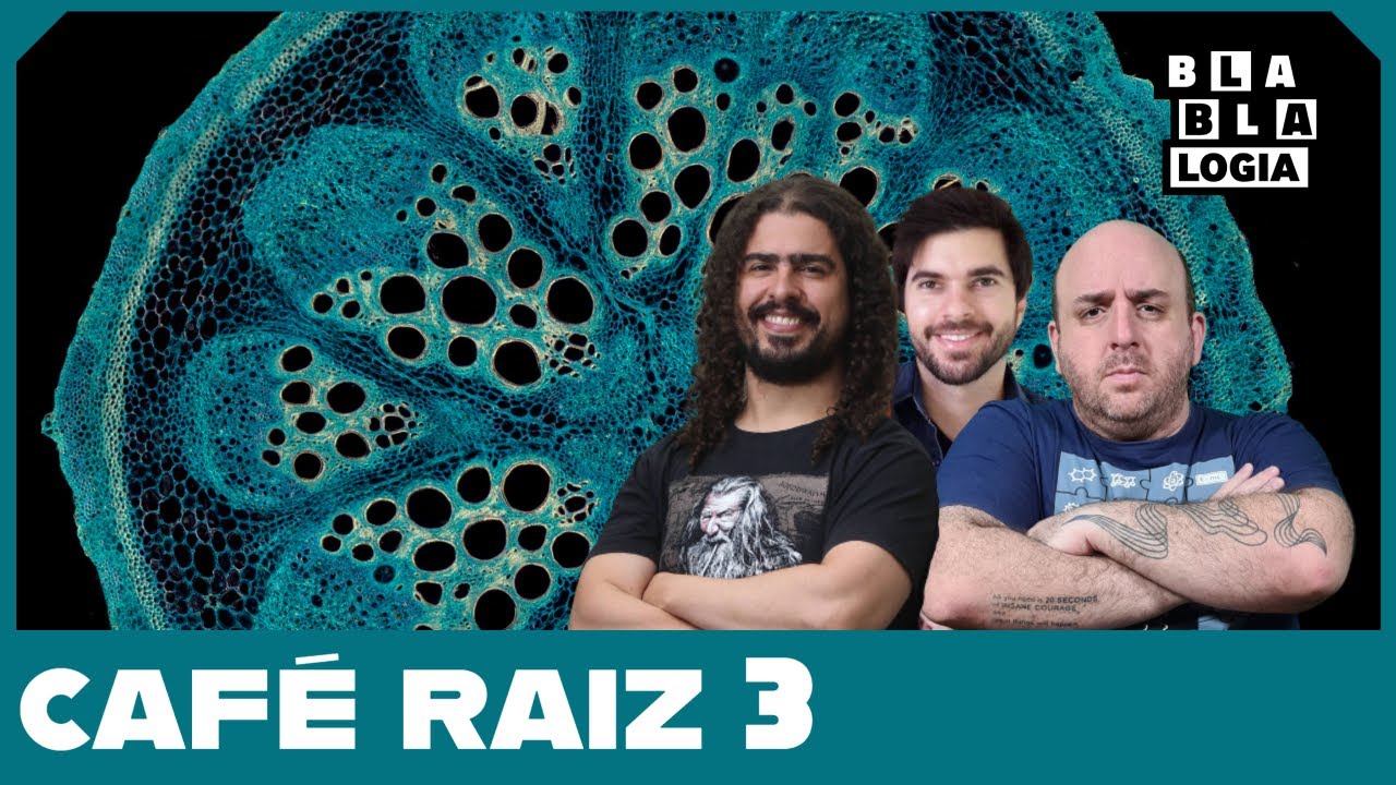 Café RAIZ 3 - Notícias da Semana - YouTube