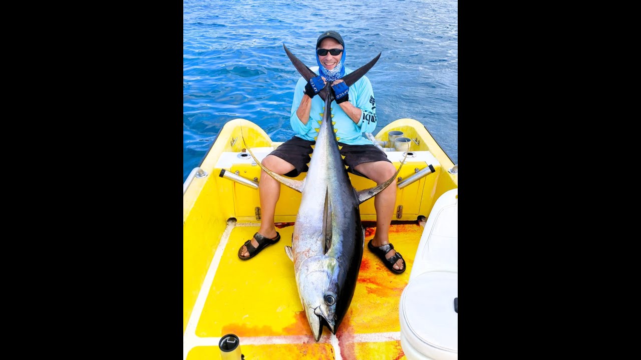 Monster 132lb Yellowfin Tuna Caught on Light Tackle | Curaçao Fishing ...
