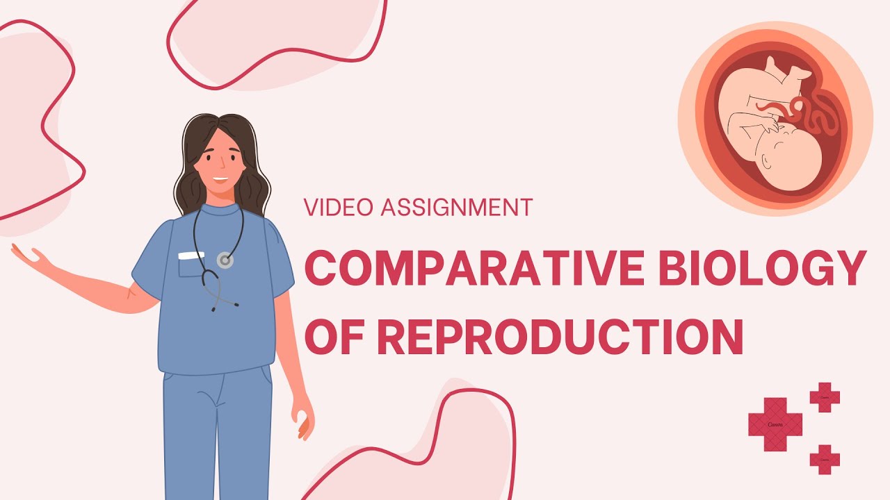 Overcoming Infertility: Understanding PCOS, Low Testosterone & ART ...