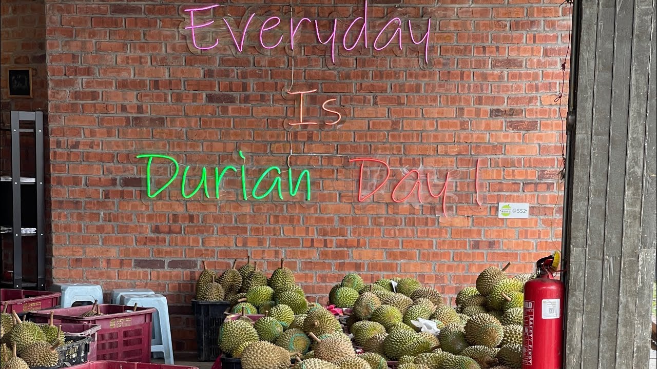 DURIAN MAN in KUALA LUMPUR MALAYSIA | DURIAN MARKET - YouTube