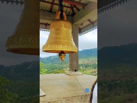 😂 A Giant Bell. 👍❤️