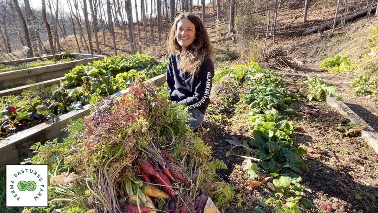 Winter Garden Tour // Carrot Harvest 2021 - YouTube