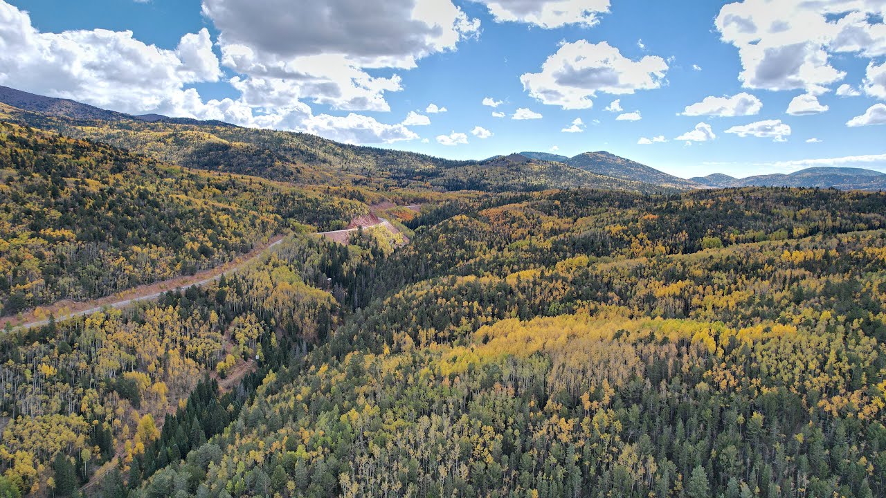 Cripple Creek Fall Colors 2022 - YouTube