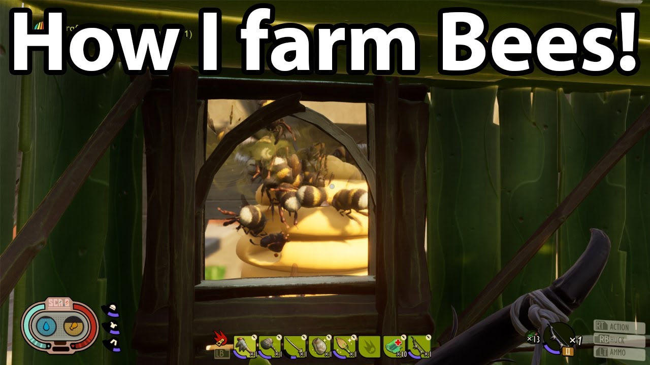 My BEE farm! (Patched) Grounded Gameplay! - YouTube