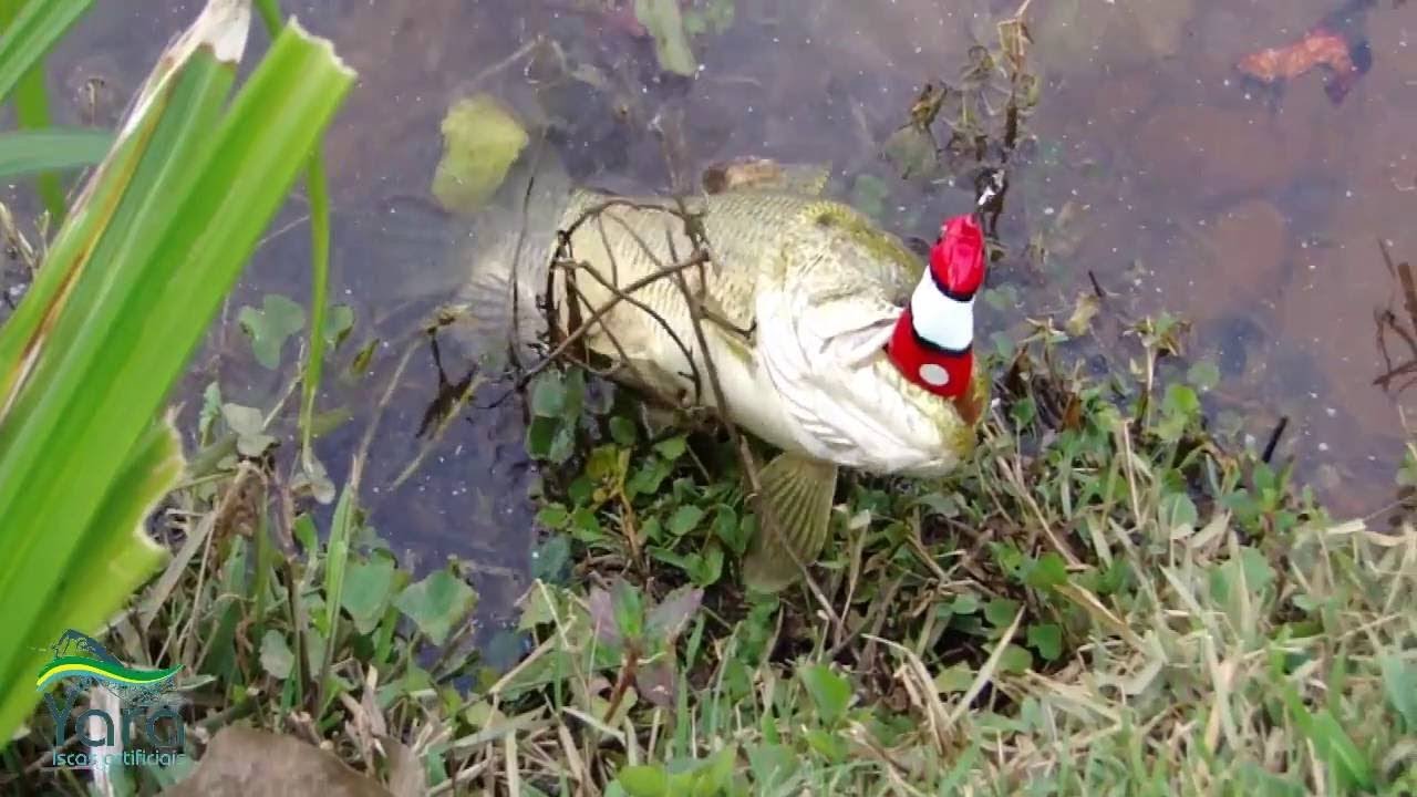 Isca Artificial Yara Snake Fish Soft Bait - YouTube