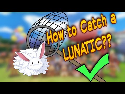 How to catch a Lunatic (pet) | Ragnarok M Eternal Love - YouTube