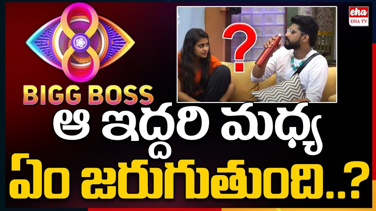 Love Story of Nikhil and Sonia in Bigg Boss 8 | Bigg Boss Review ...