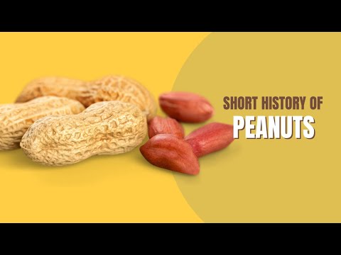 Short history of Peanuts - YouTube