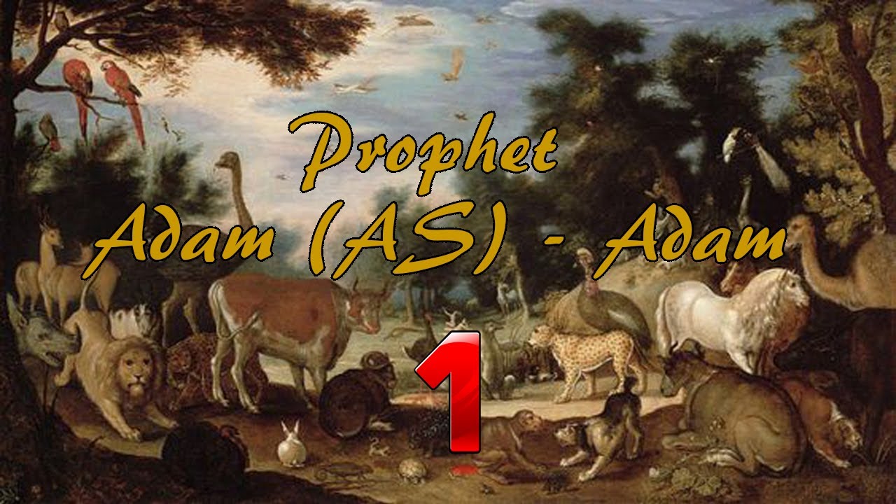 Prophet Adam AS Adam 01 #prophets'_stories - YouTube