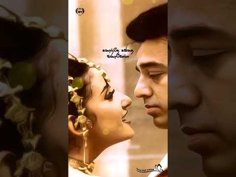 Maya Machindra Song Lyrics/S.P. Balasubrahmanyam and Swarnalatha/A.R ...