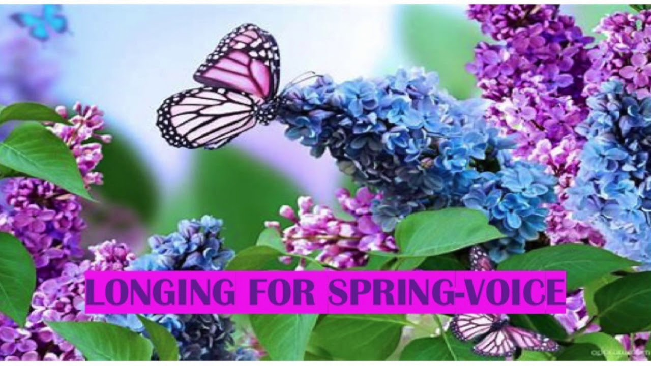 Longing for Spring-Voice - YouTube