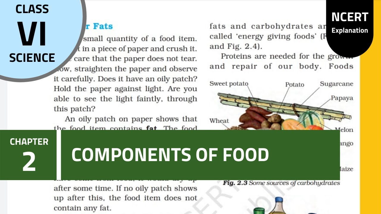 NCERT Class 6th chapter 2nd: Components of food - YouTube