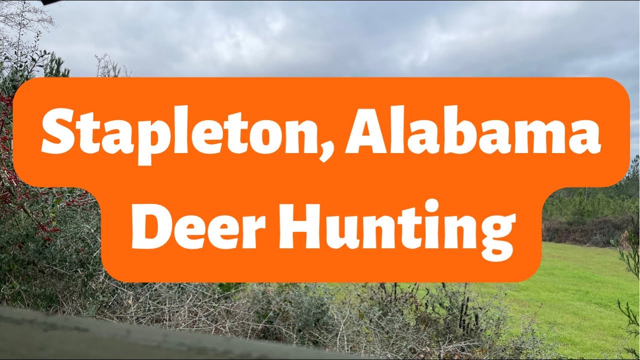 Stapleton, Alabama Deer Hunting - YouTube