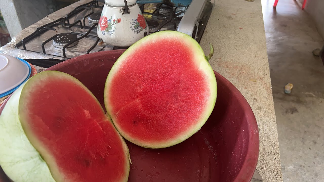 Llego la hora de partír la sandía 🍉 - YouTube